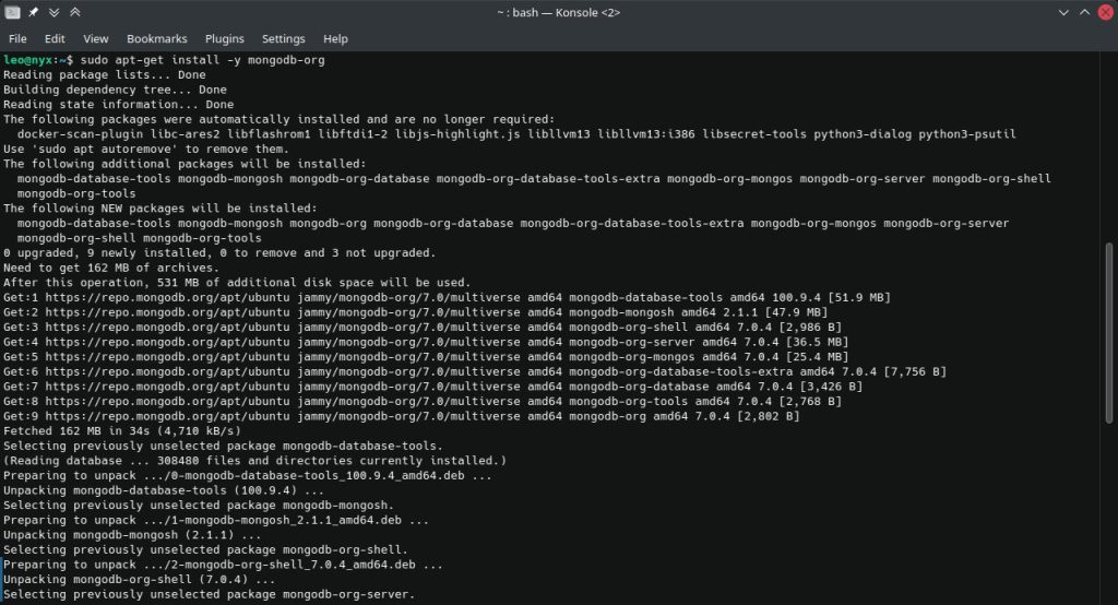Install Payload Cms On Storm Internet